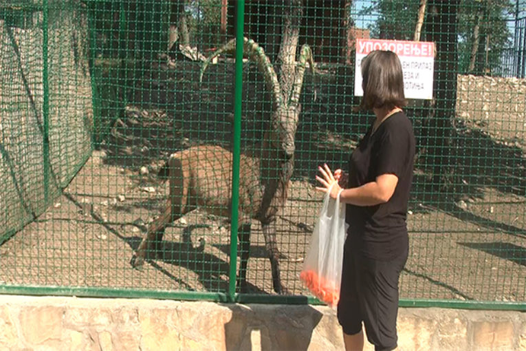 ZOO VRT biser grada Bora! | TV Istok